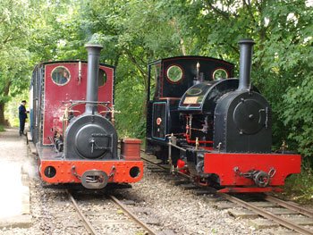 Two Locos awaiting their turn - Narrow Gauge railway Photo Gallery