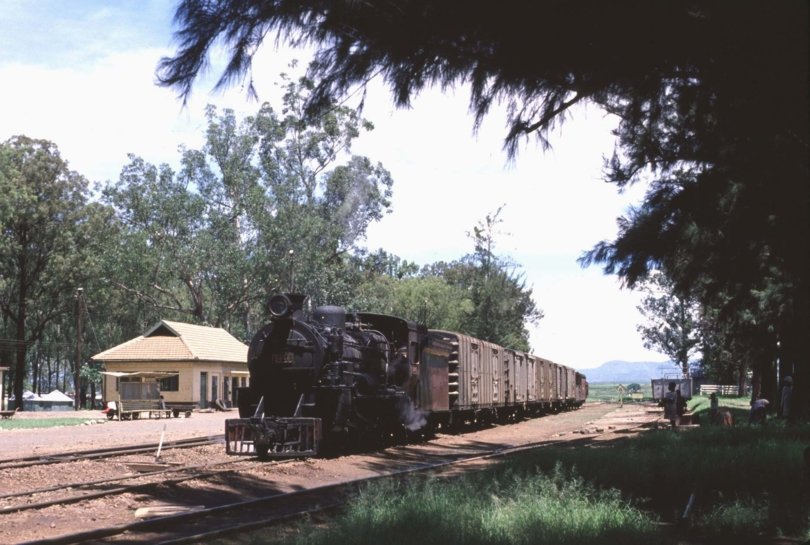 2448 - Narrow Gauge railway Photo Gallery