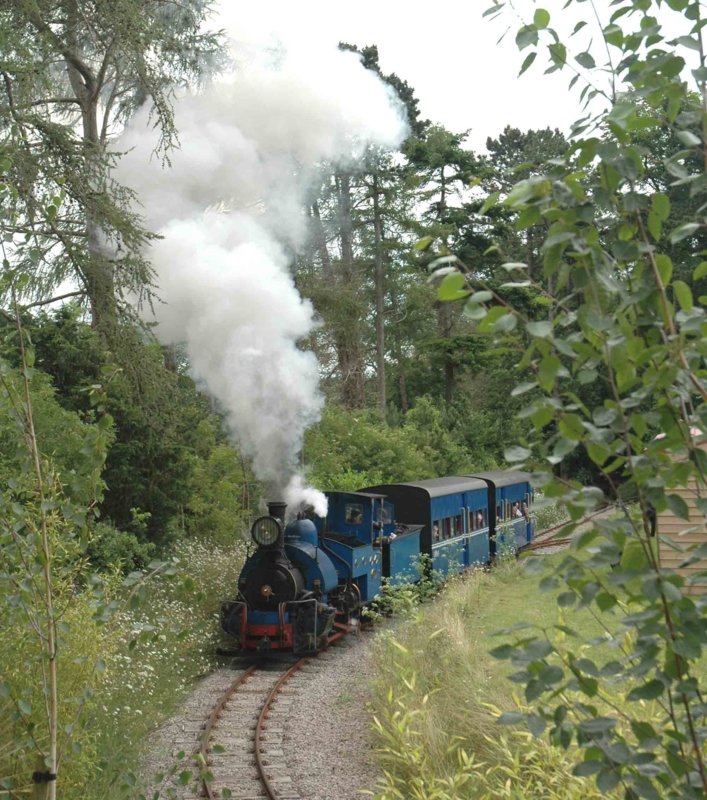 No. 19 - Narrow Gauge railway Photo Gallery